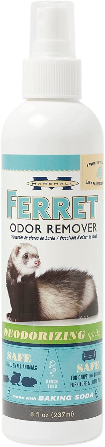 Help! My Ferret Stinks: How to Combat Ferret Odor - Ferret Outfitters